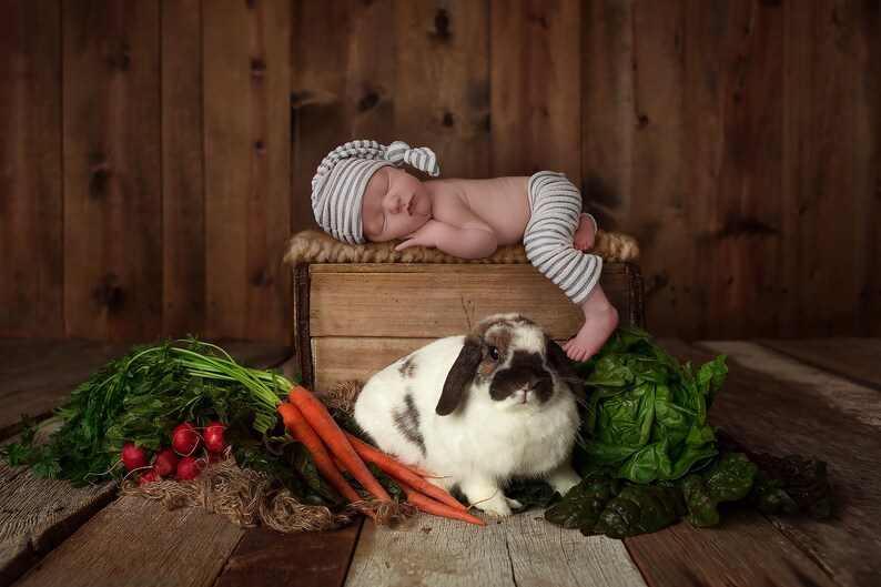 Spring Lullabies Newborn Digital Background Collection for - Etsy