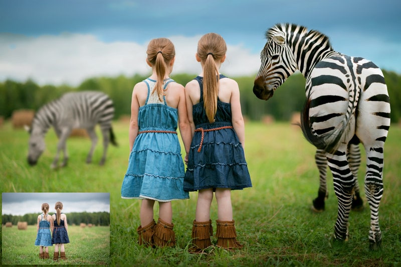 Craft Supplies & Tools Visual Arts Zebra Photoshop Actions Dancing ...