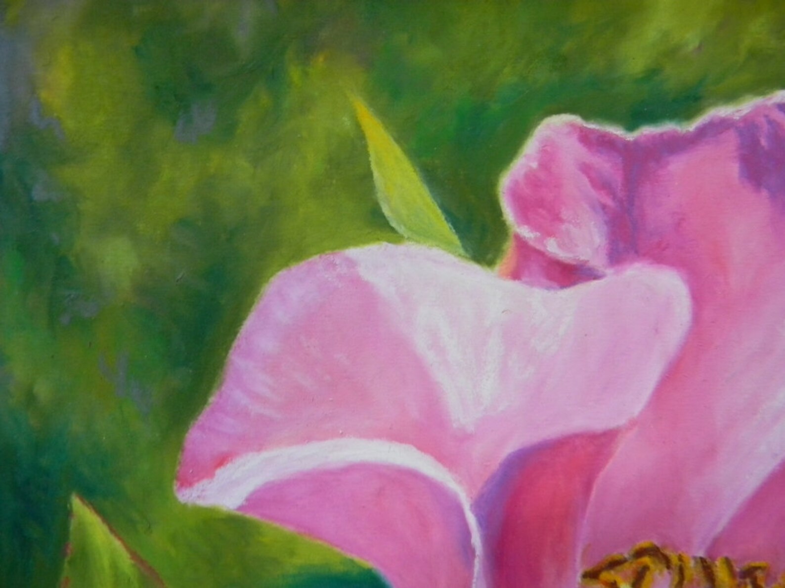 Original Wild Rose Oil Pastel Painting Roselight 11 Inches - Etsy