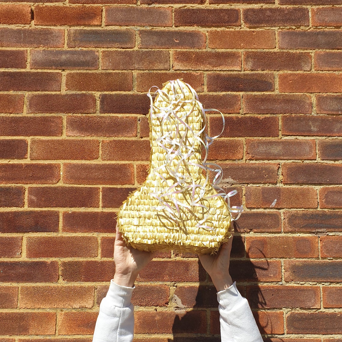 Hen Do Penis Pinata - Etsy