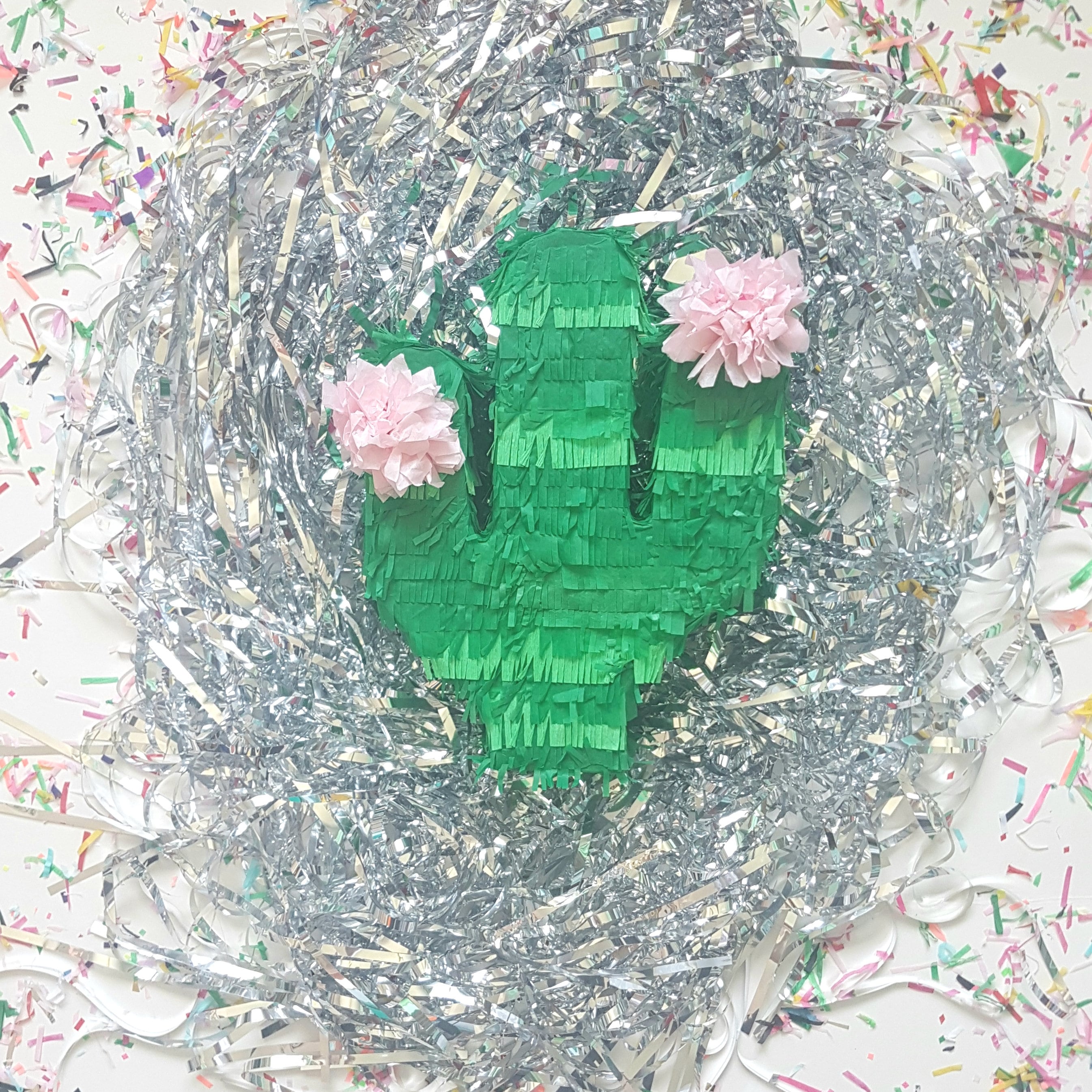 Cactus Pinata | Etsy