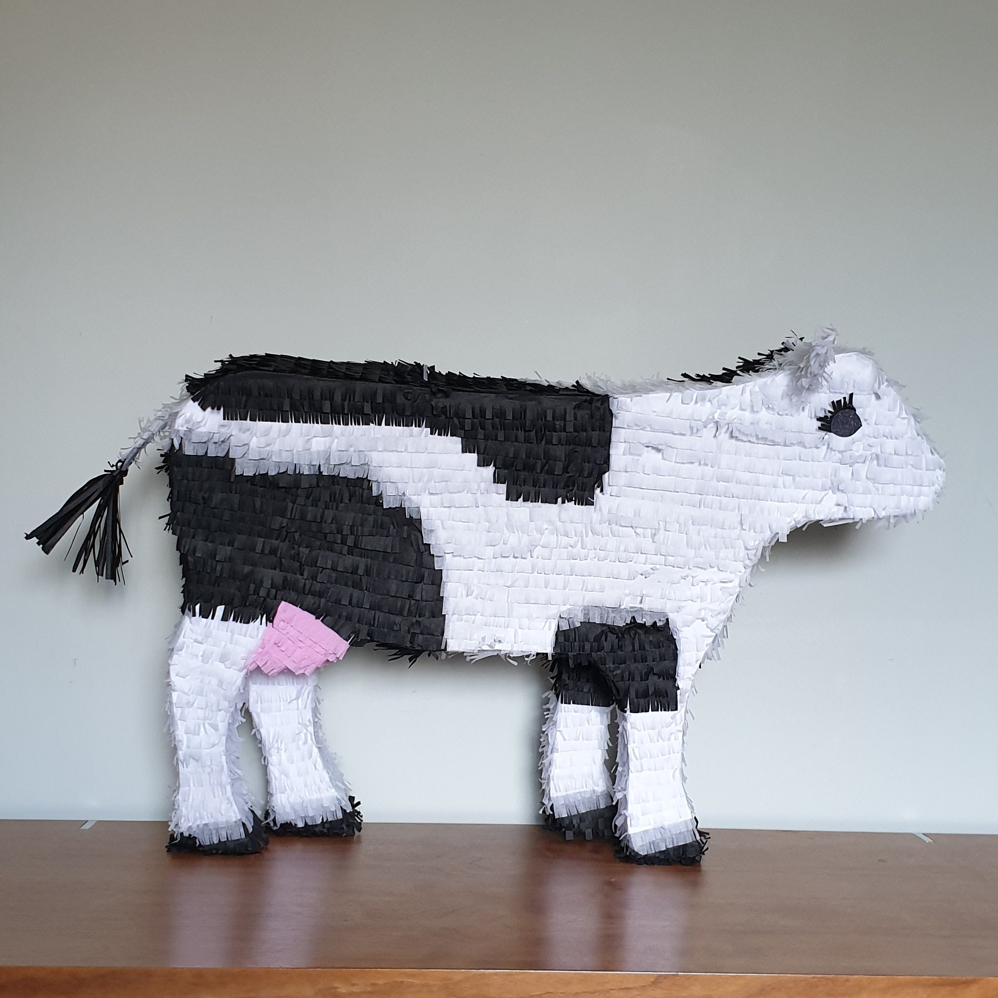 Custom Made Pinata | Etsy