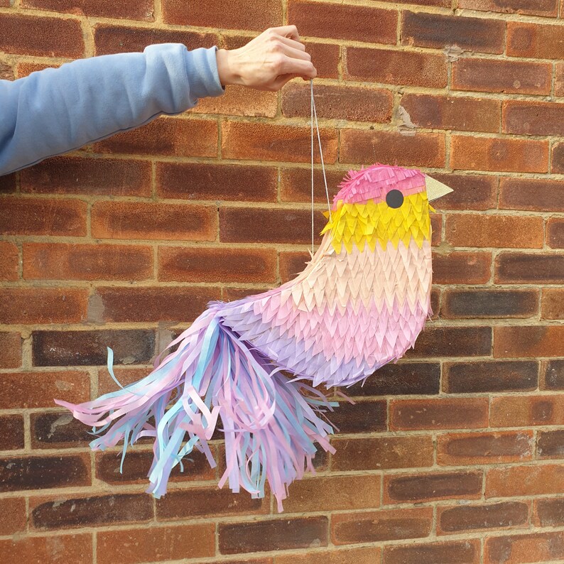 Custom Made Pinata | Etsy