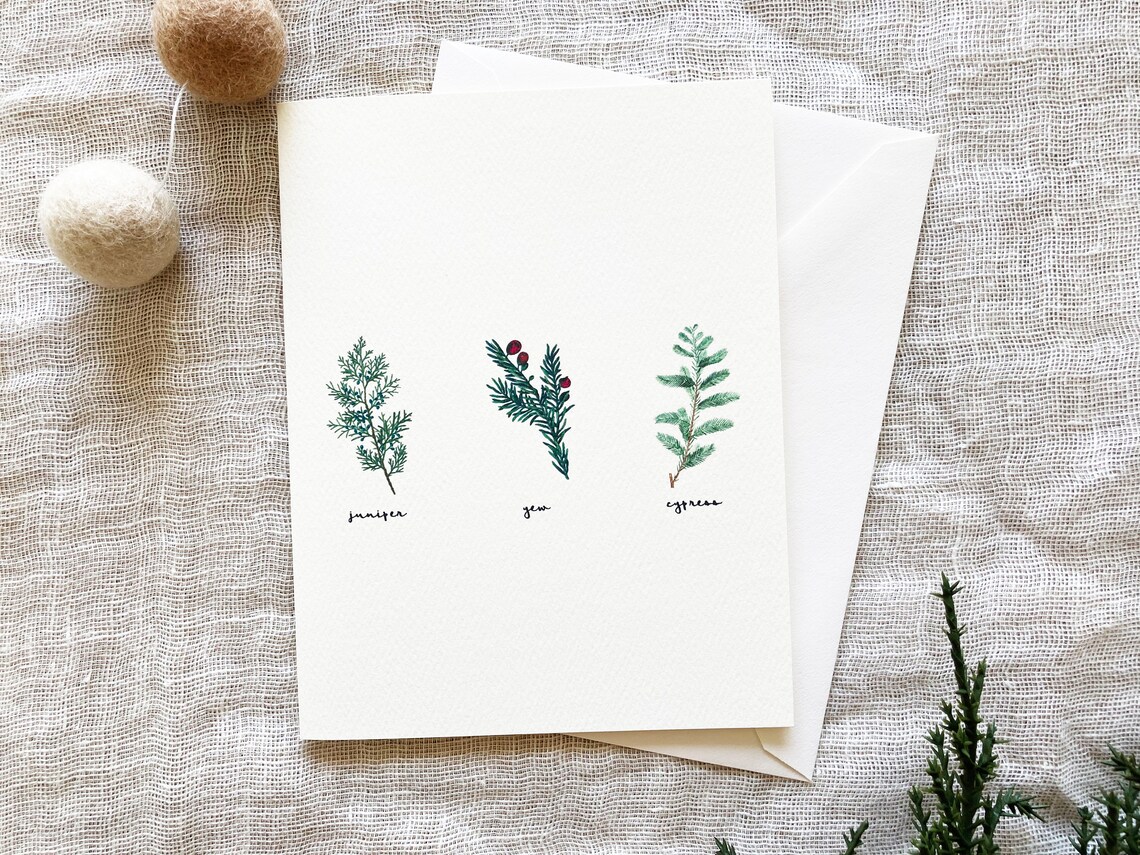 Evergreen Cards Set of 10 | Christmas Blank Greeting Cards With ...