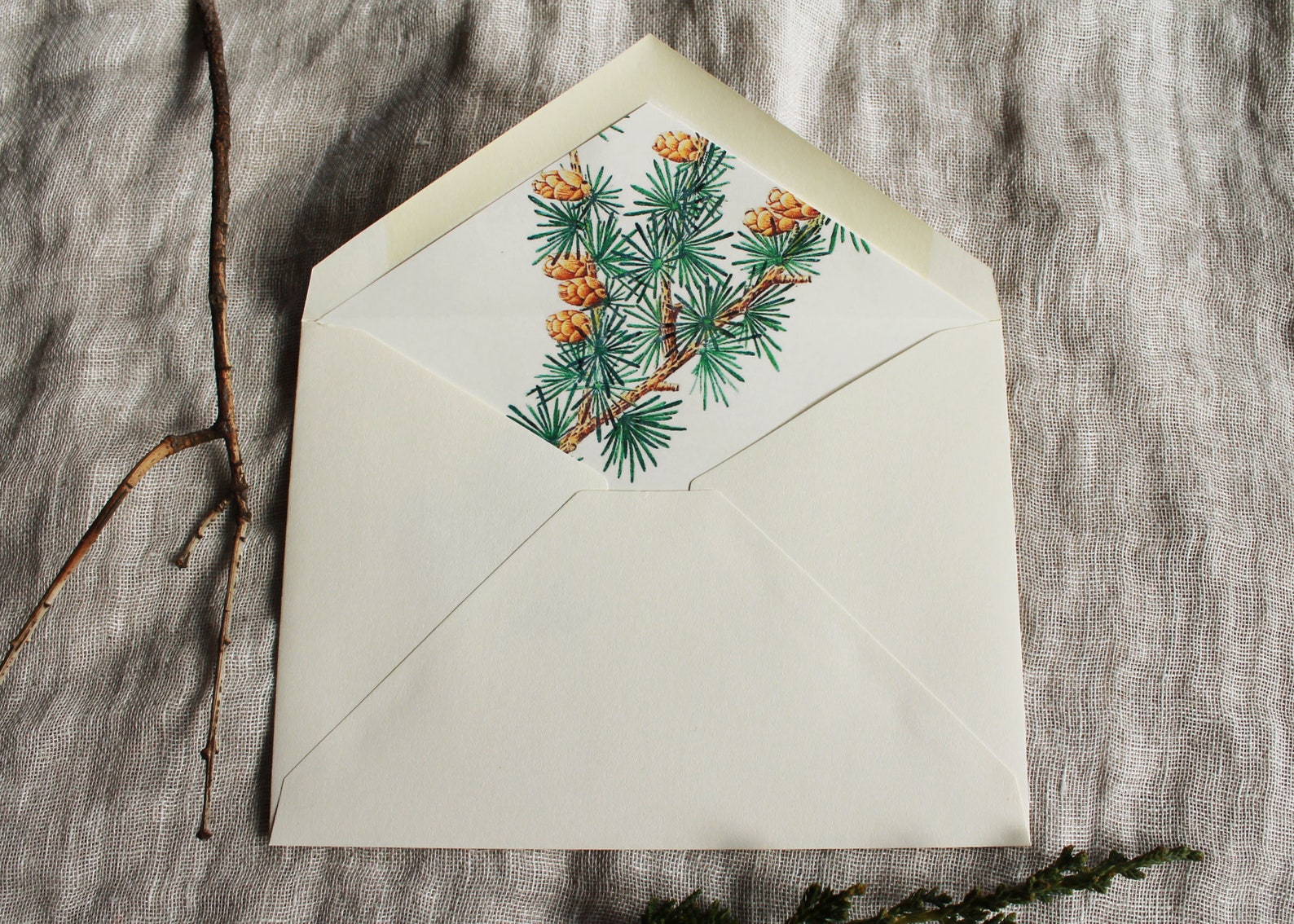Evergreen Cards Set of 10 | Christmas Blank Greeting Cards With ...