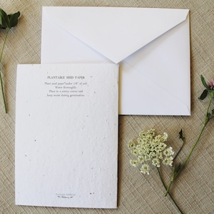 Nature Themed Sustainable Greeting Cards Variety Set of 10 With ...