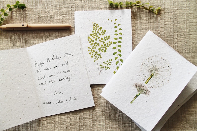 Nature Themed Sustainable Greeting Cards Variety Set of 10 With ...