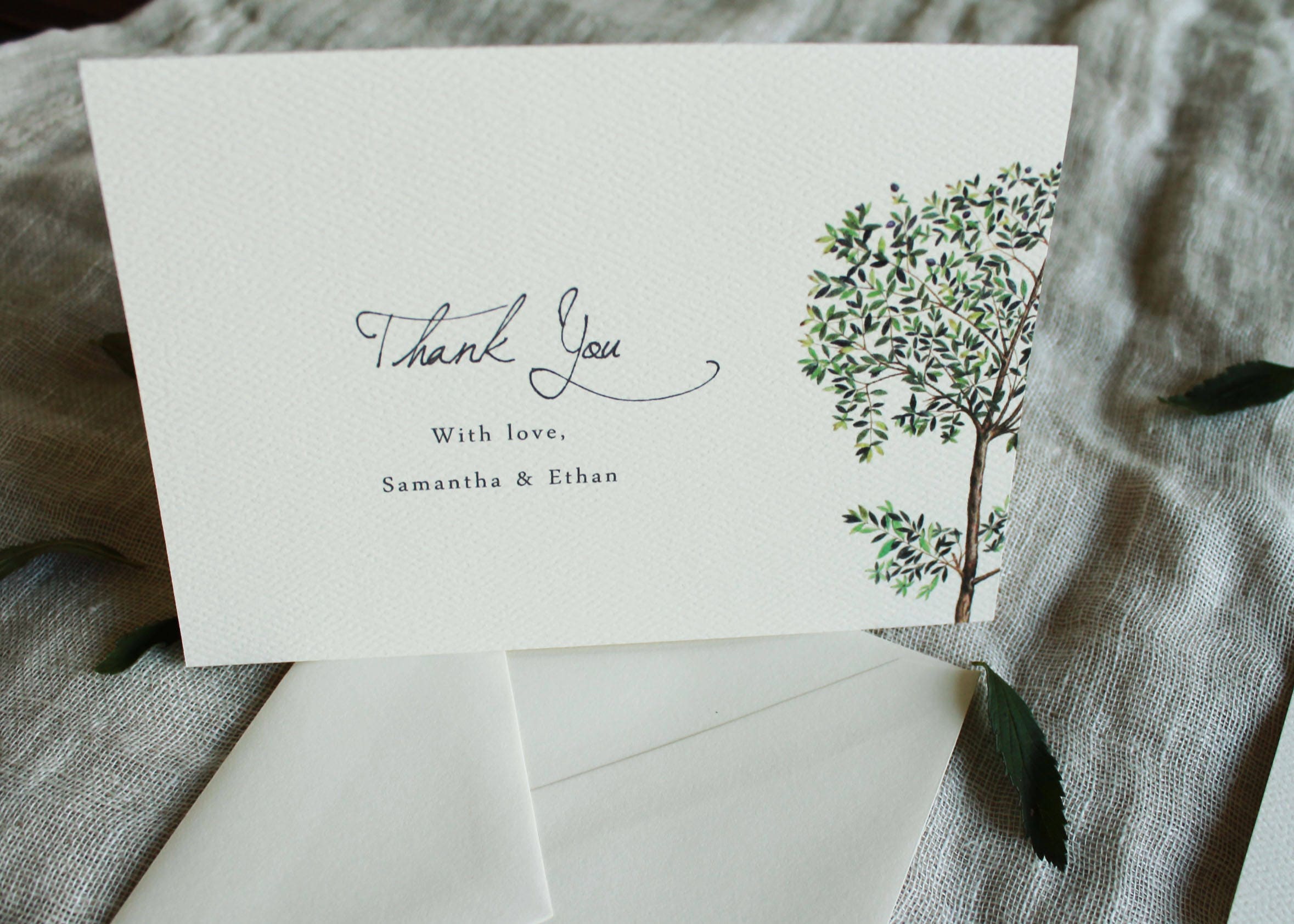 Olive Tree Wedding Thank You Card Set | Olive Branch Thank You Notes ...