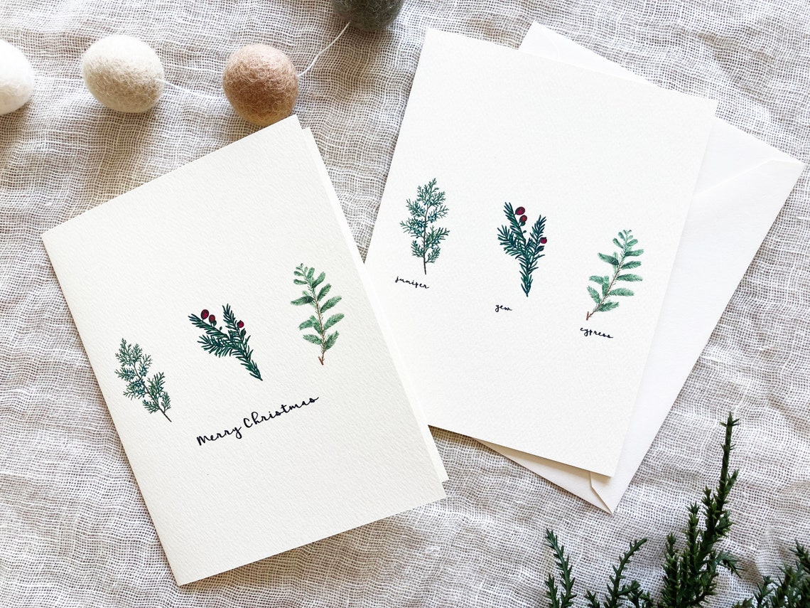 Evergreen Cards Set of 10 | Christmas Blank Greeting Cards With ...