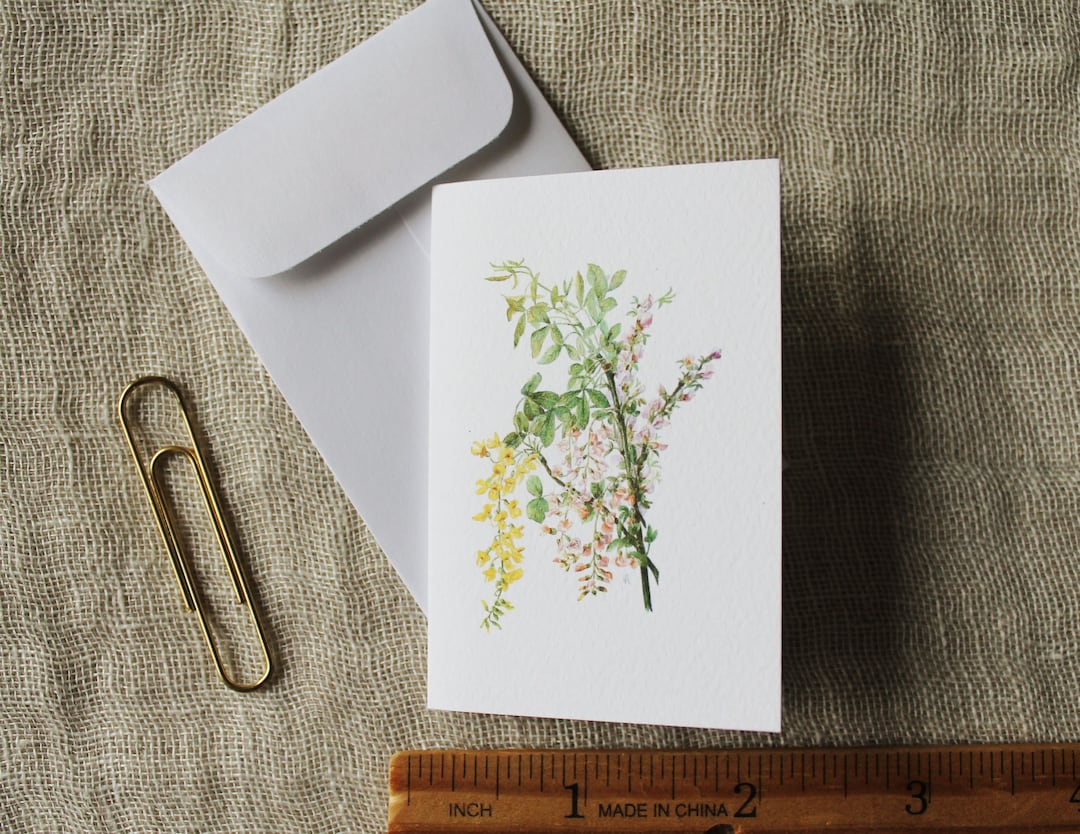 Mini Cards | Small Cards | Mini Blank Cards | Mini Note Cards | Little ...