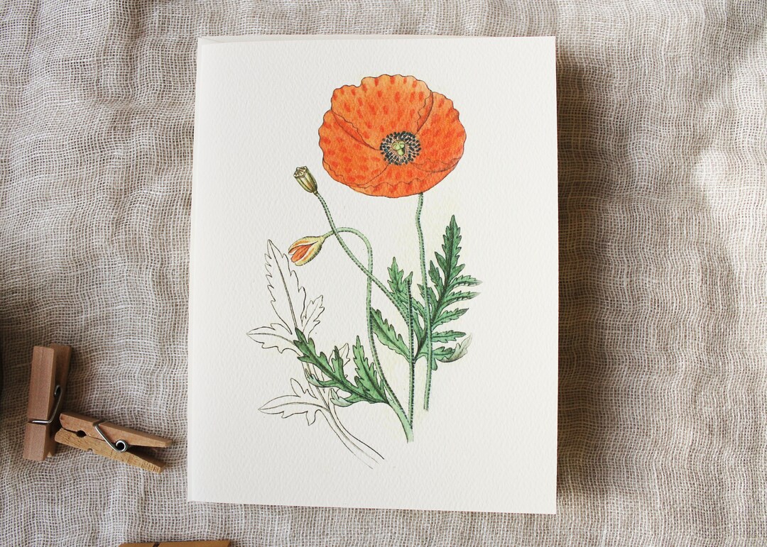 Poppy Greeting Cards With Envelopes Set of 10 Folded Blank Note Cards ...