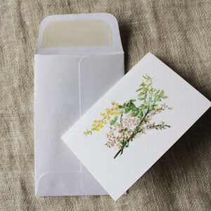 Mini Cards | Small Cards | Mini Blank Cards | Mini Note Cards | Little ...