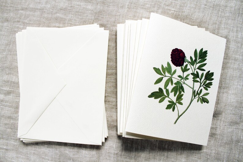 10 Flower Greeting Cards Set Flower Blank Note Cards Set - Etsy