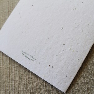 Birthday Card Seed Paper Blank Inside Eco-friendly - Etsy