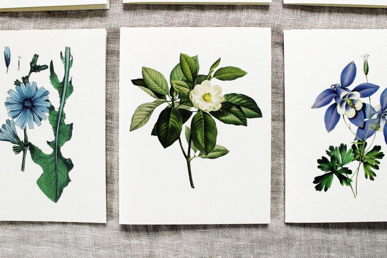 10 Flower Greeting Cards Set Flower Blank Note Cards Set - Etsy