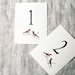 Cardinal Wedding Table Numbers Cardinal Bird Table Numbers Table ...