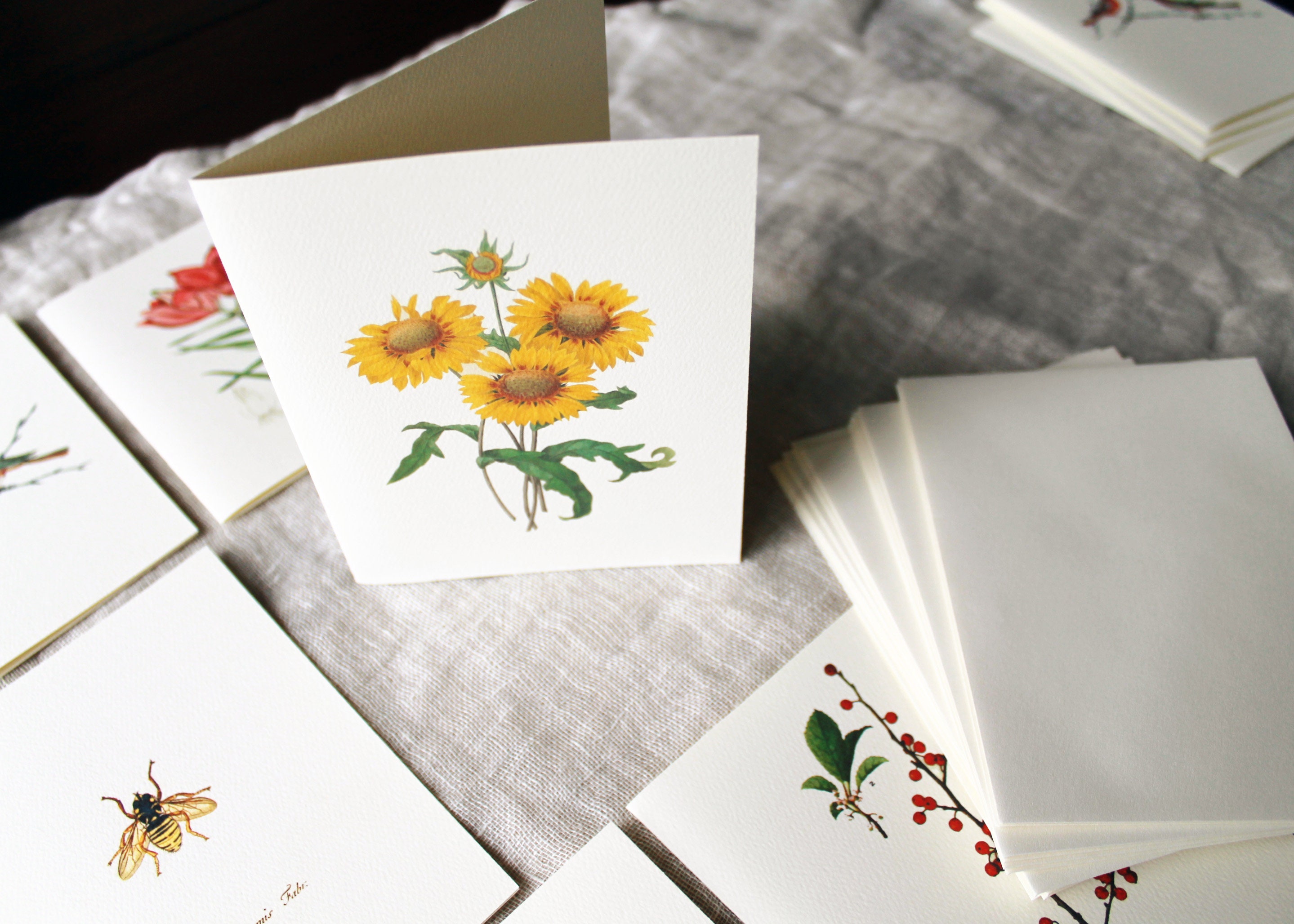 Year of Cards One Card For Each Month Of The Year Variety | Etsy