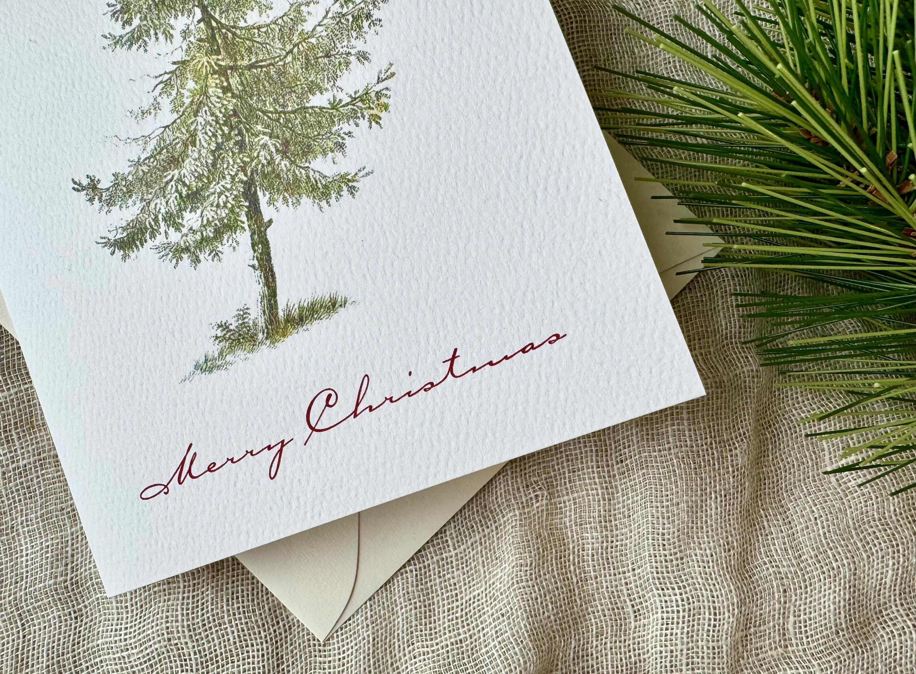 Pine Tree Christmas Cards Set of 10 Folded With Envelopes - Etsy