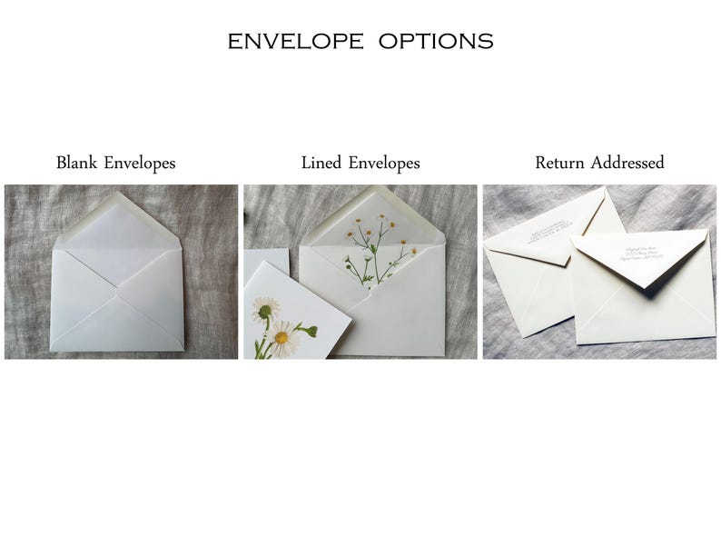Daisy Greeting Cards With Envelopes Set of 10 - Etsy