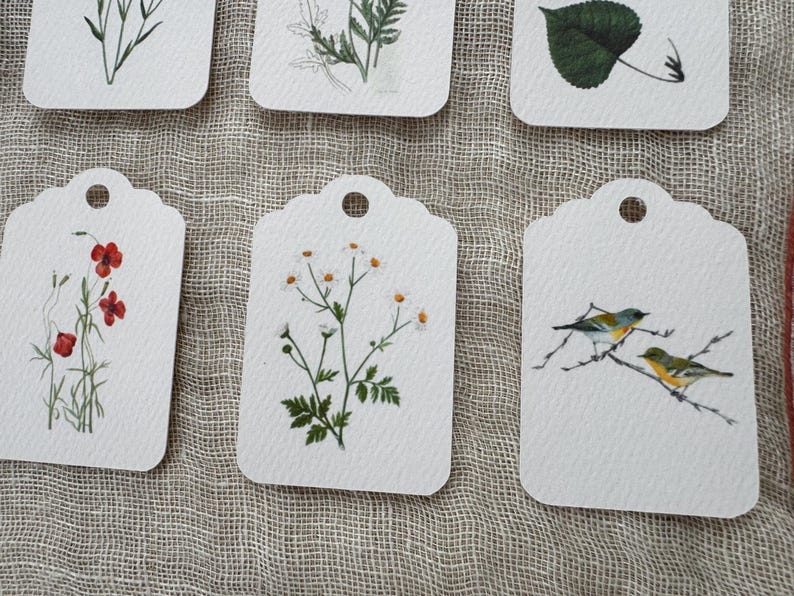 Heirloom Botanical Hang Tags – Variety Set of 24 | Spring Summer - Etsy