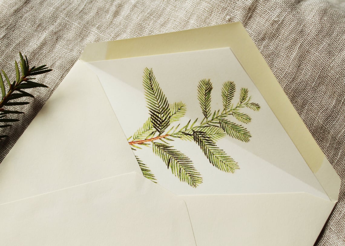 Pine Tree Note Cards With Envelopes Set of 24 Evergreen | Etsy