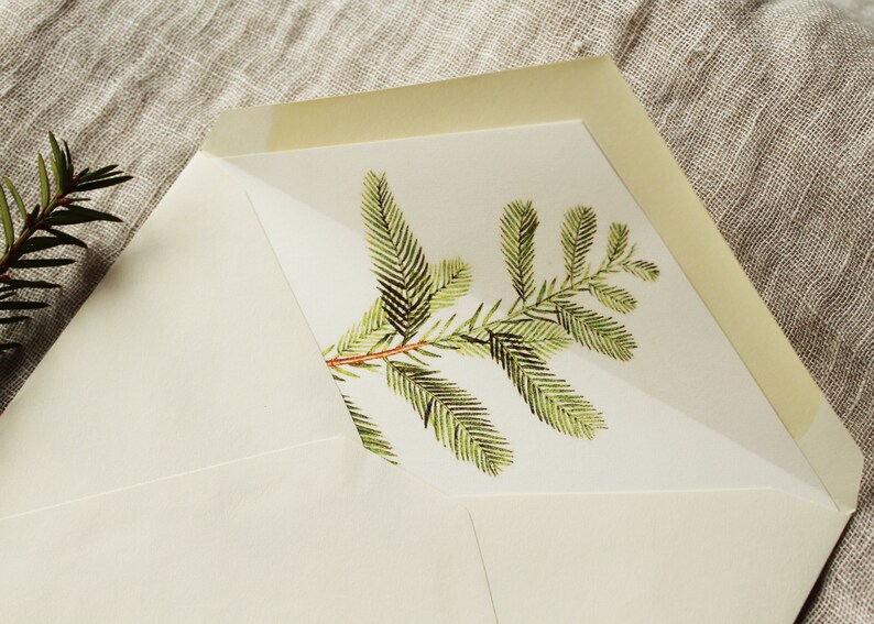 Pine Tree Note Cards With Envelopes Set of 24 Evergreen | Etsy