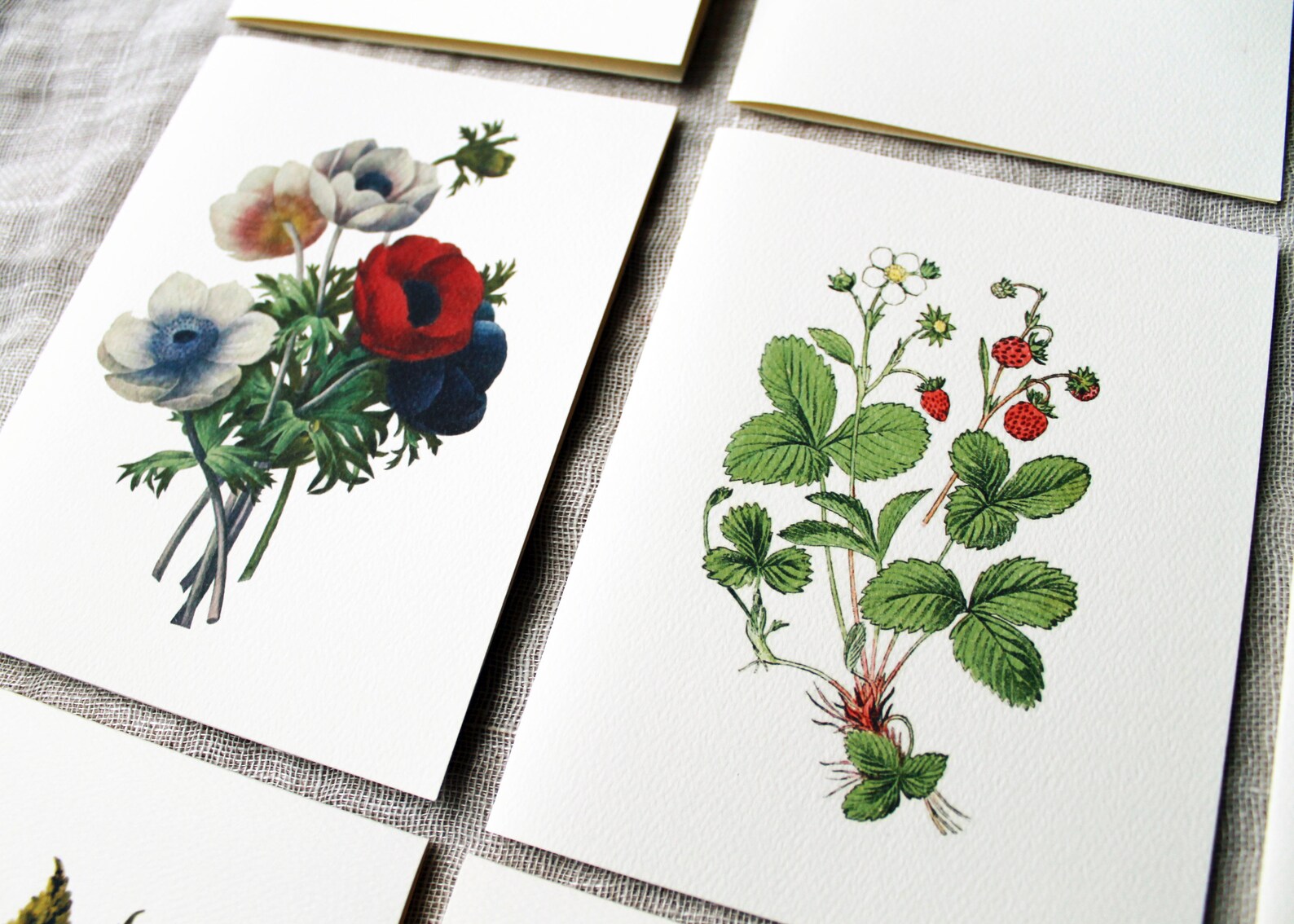 Year of Cards One Card For Each Month Of The Year Variety | Etsy