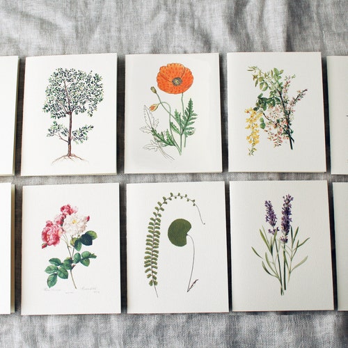 10 Flower Greeting Cards Set Flower Blank Note Cards Set - Etsy