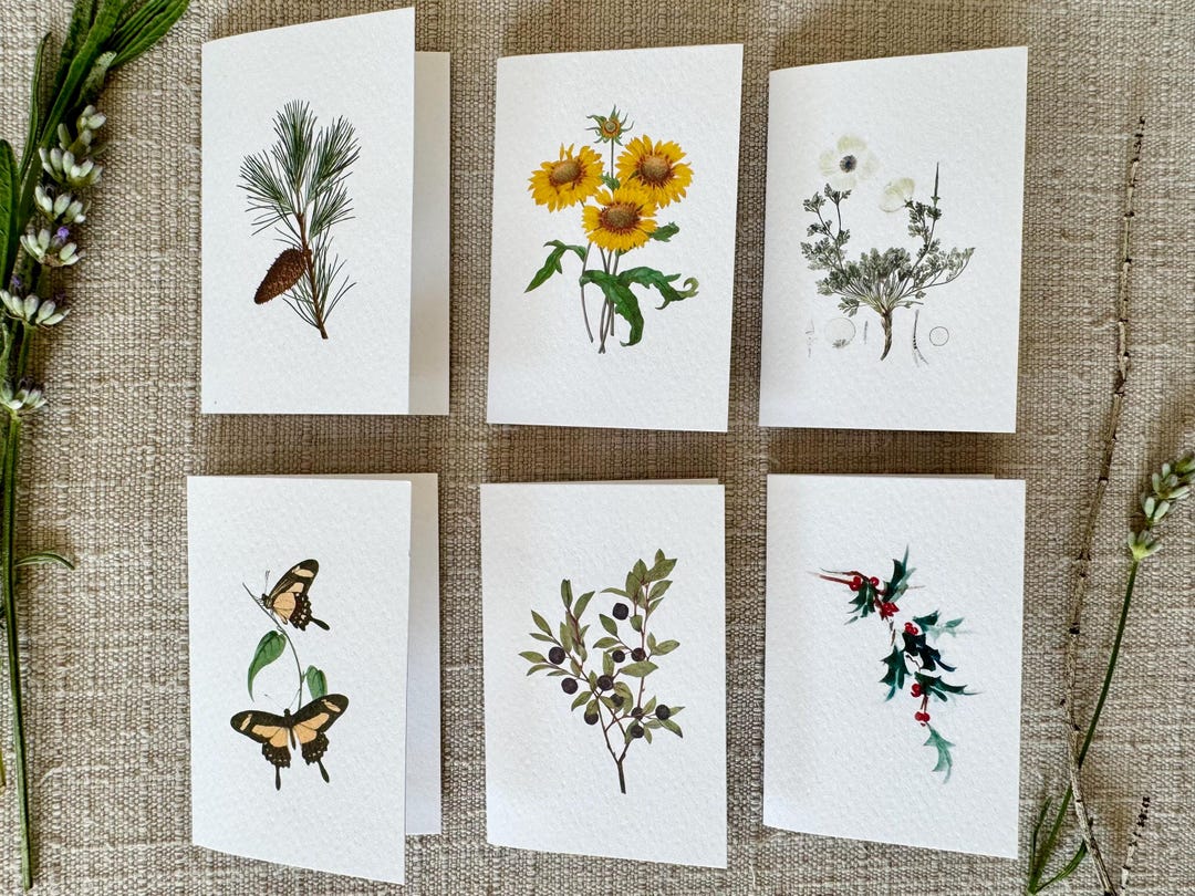Mini Greeting Cards Variety Set | Small Cards | Mini Blank Cards | Mini ...