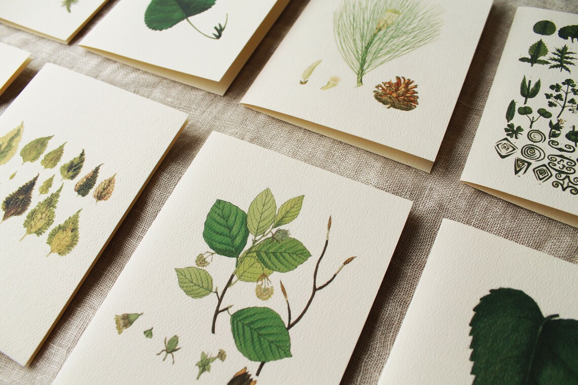 Greenery Greeting Cards Variety Set of 10 With Envelopes - Etsy