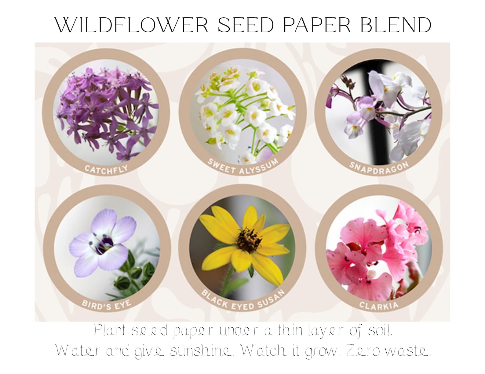 Nature Themed Sustainable Greeting Cards Variety Set of 10 With ...