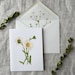 Daisy Greeting Cards With Envelopes Set of 10 - Etsy