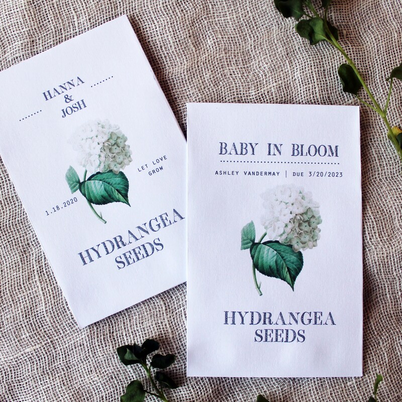Hydrangea Seeds - Etsy