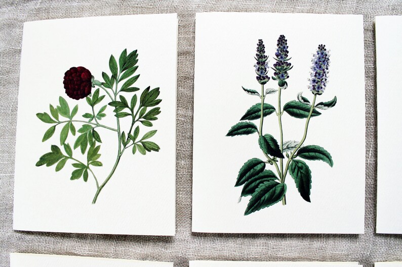 10 Flower Greeting Cards Set Flower Blank Note Cards Set - Etsy