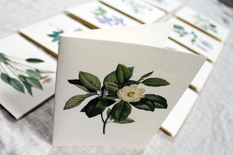 10 Flower Greeting Cards Set Flower Blank Note Cards Set - Etsy