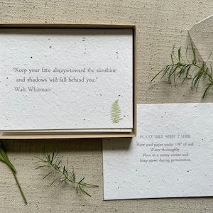 Inspirational Quote Cards Set Boxed for Mindfulness Gift - Etsy