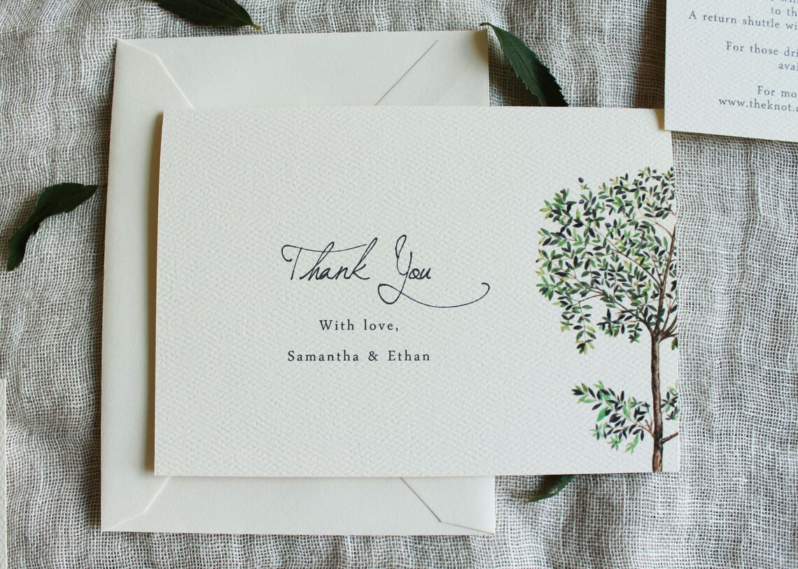 Olive Tree Wedding Thank You Card Set | Olive Branch Thank You Notes ...