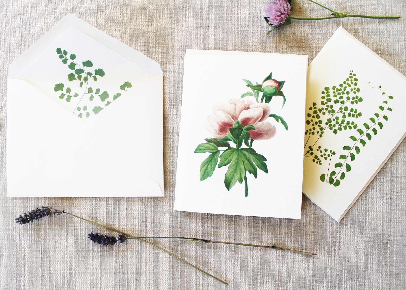 Nature Themed Sustainable Greeting Cards Variety Set of 10 With ...