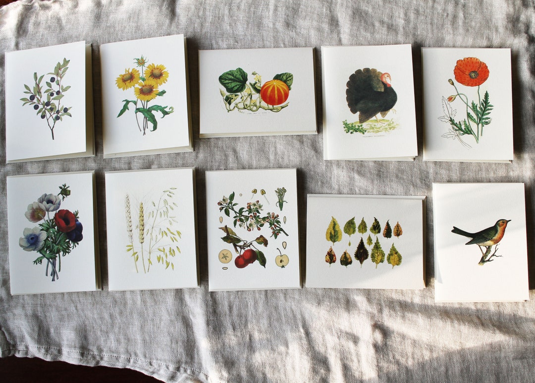 Fall Greeting Cards Set | Autumn Greeting Cards Set | Blank Note Cards ...
