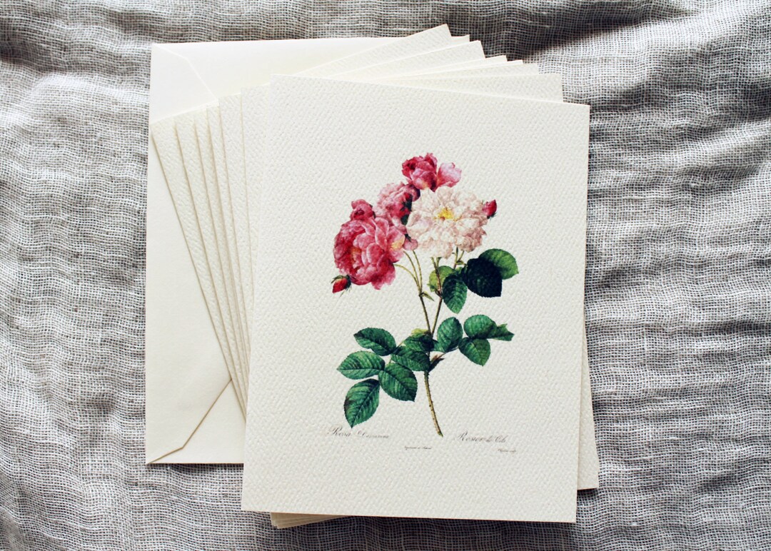 Pink Rose Folded Notecards With Envelopes | Blank Note Card Set ...