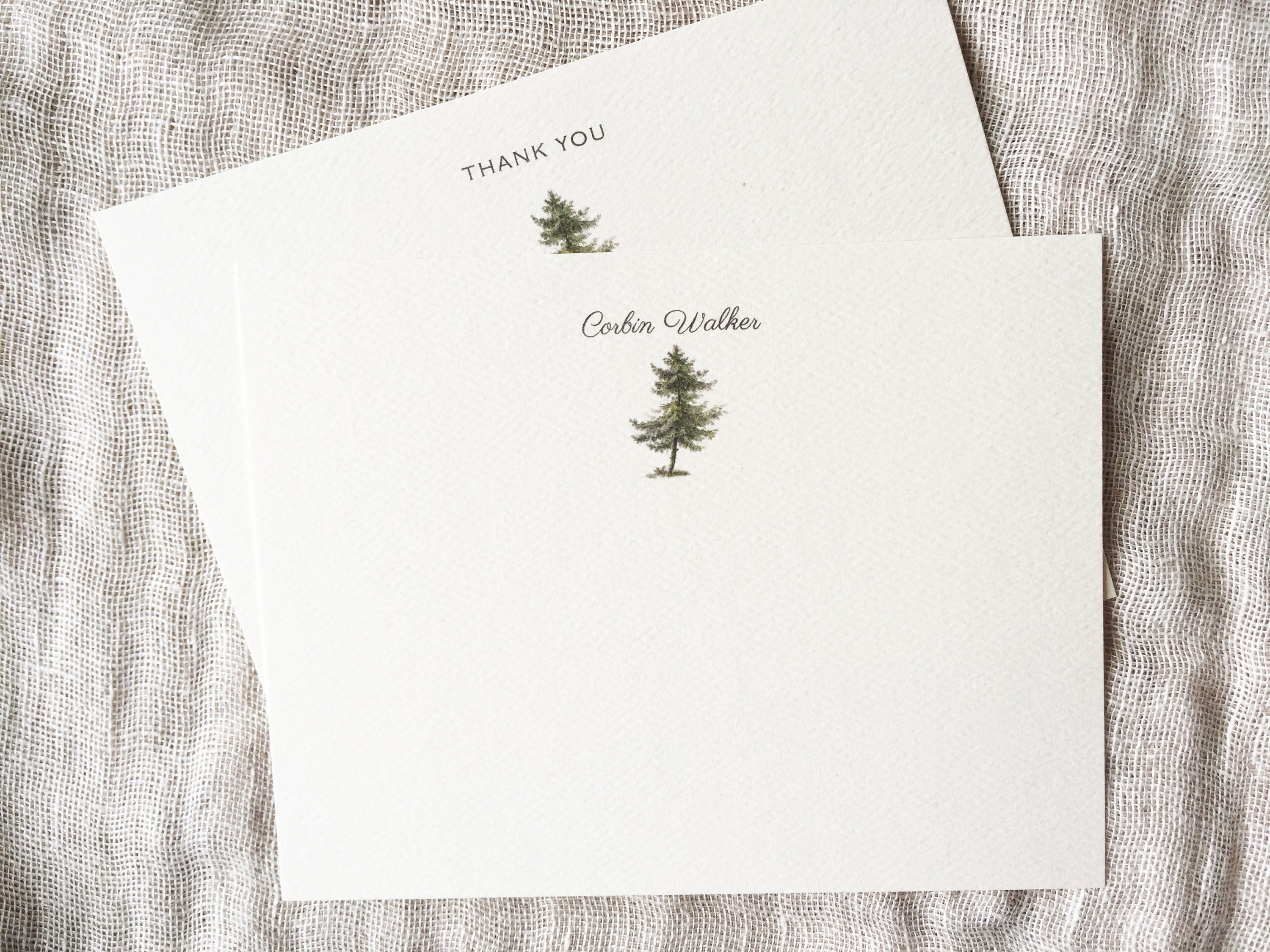 Pine Tree Note Cards With Envelopes Set of 24 Evergreen | Etsy