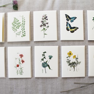 Nature Themed Sustainable Greeting Cards Variety Set of 10 With ...
