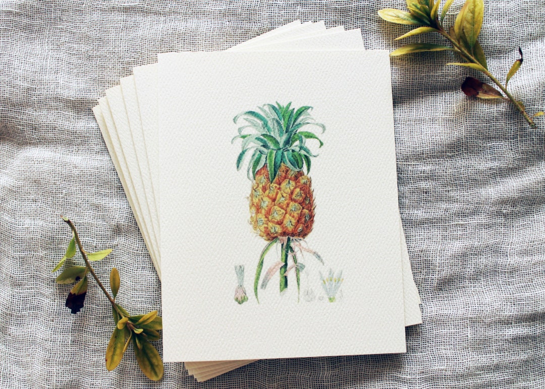 Pineapple Blank Folded Note Cards With Envelopes | Pineapple Greeting ...