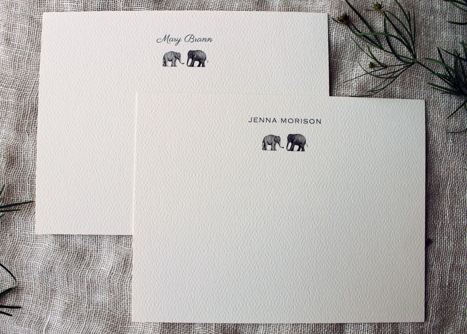 Elephant Note Cards With Envelopes | Set of 24 Safari Cards | Custom ...