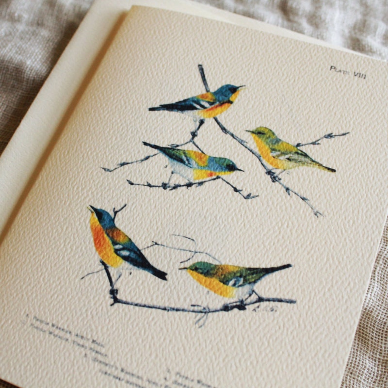 Bird Greeting Card - Etsy