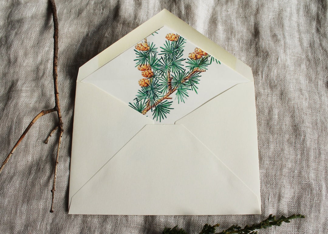 Pine Cone Envelope Liners | Botanical Envelope Liners A7 | Rustic Lined ...