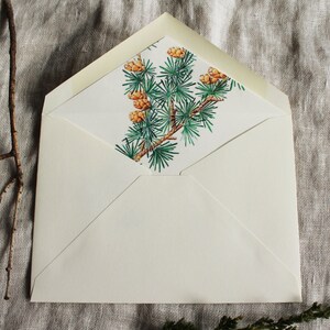 Pine Cone Envelope Liners | Botanical Envelope Liners A7 | Rustic Lined ...