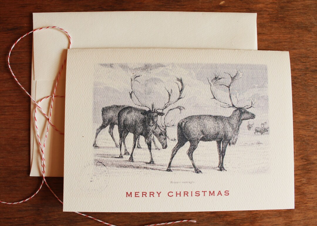 Reindeer Holiday Cards Set - Etsy