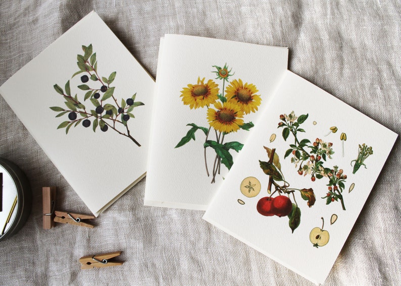 Fall Greeting Cards Set | Autumn Greeting Cards Set | Blank Note Cards ...
