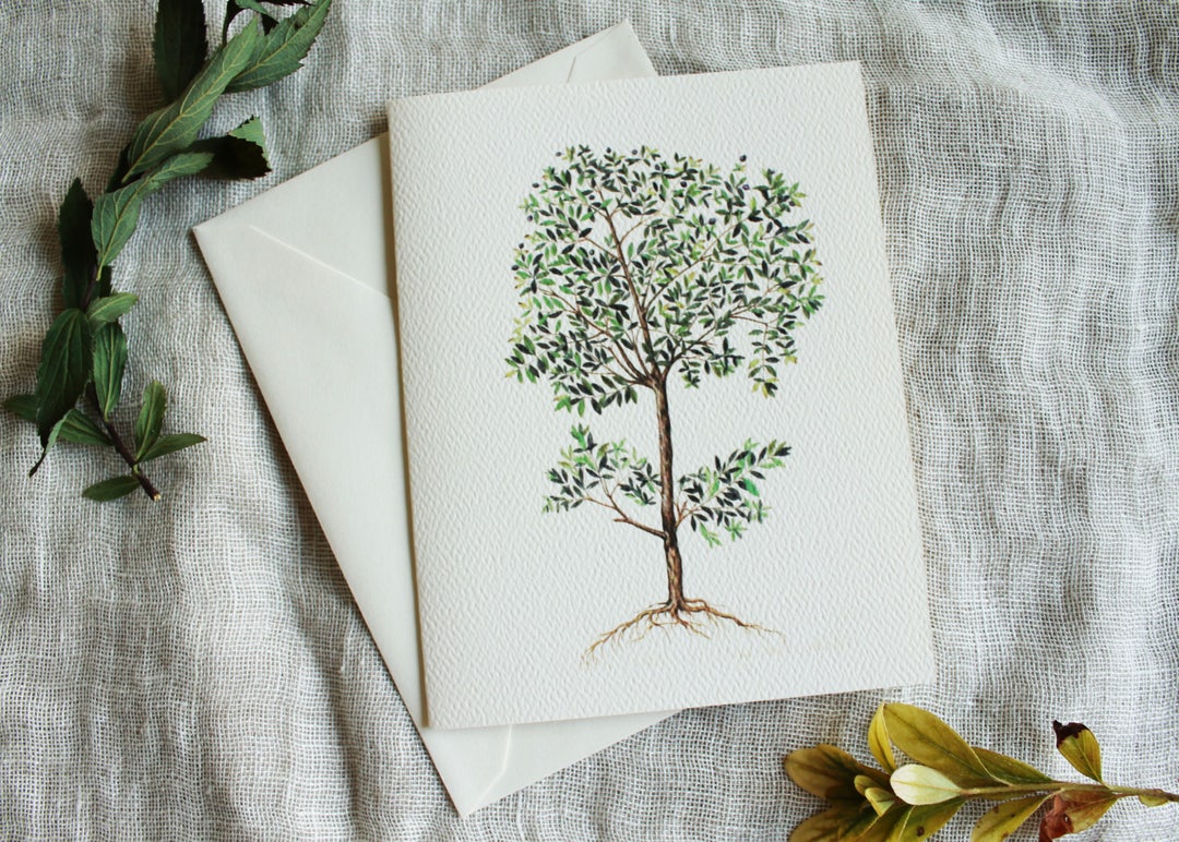 10 Olive Tree Greeting Cards With Envelopes | Botanical Folded Note ...